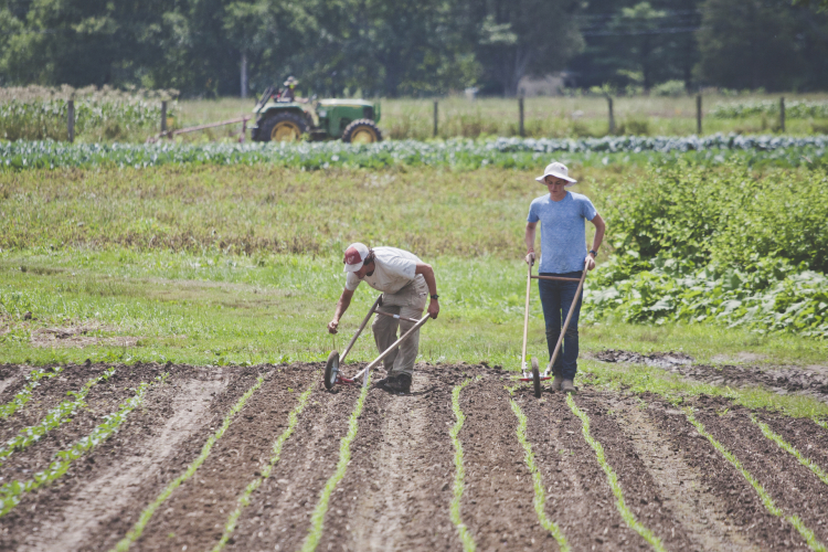 Farming CSA S