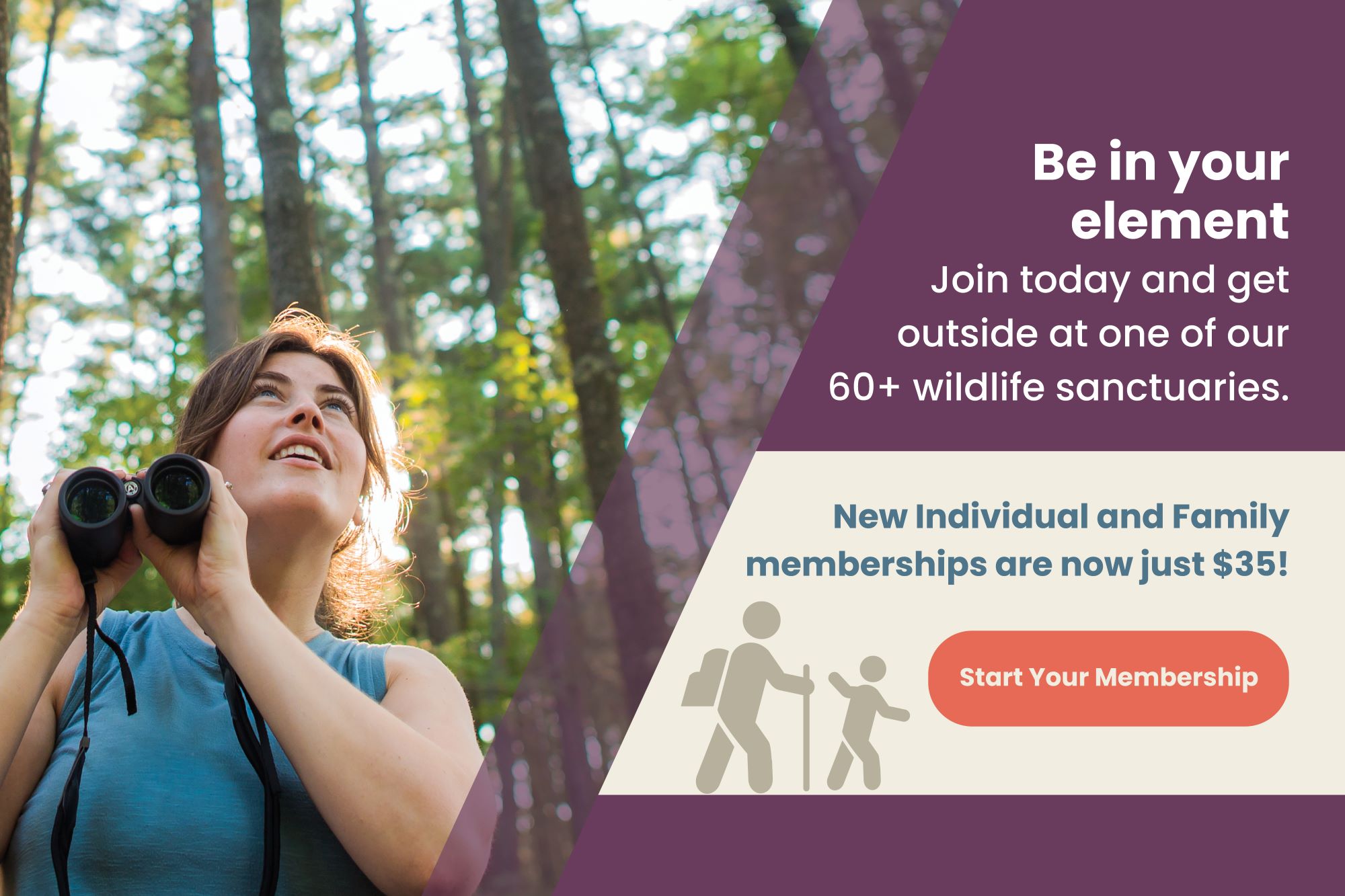 Mass Audubon Membership Levels at Neida Tracy blog