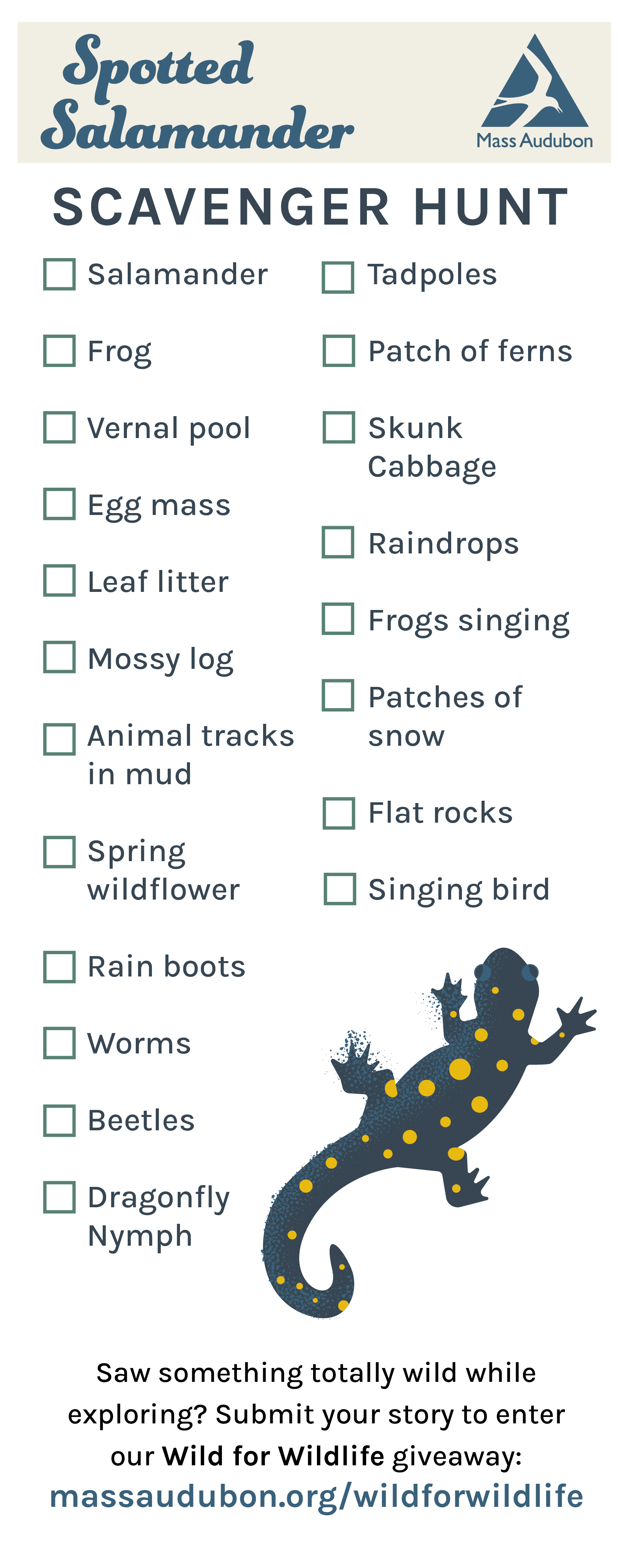 Spotted Salamander Scavenger Hunt Confirmation