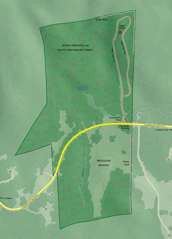 Trails in Conway, Massachusetts