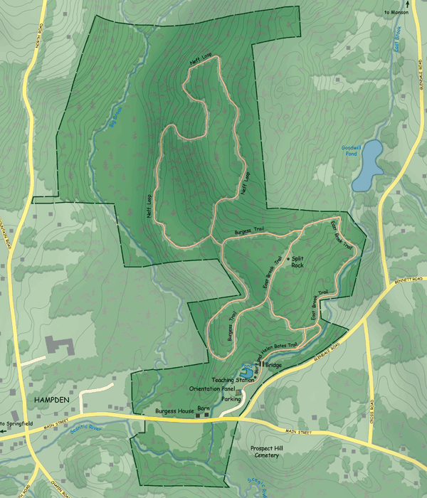 Trails in Hampden, Massachusetts