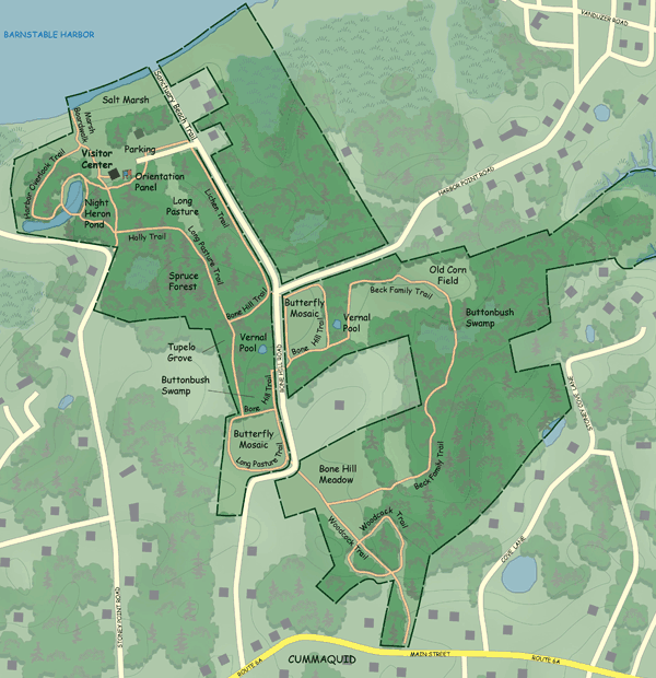 Trails in Barnstable, Massachusetts