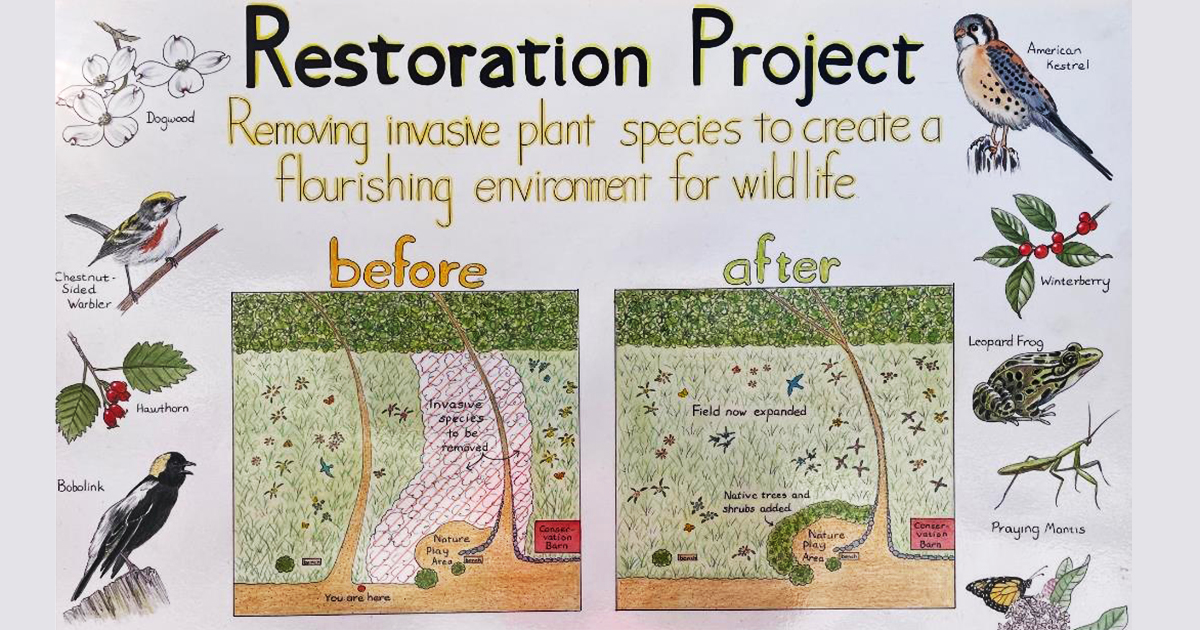 Habitat Restoration Project Underway