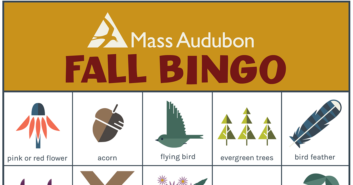 Explore The Outdoors With Nature Bingo Explore The Outdoors With Nature Bingo
