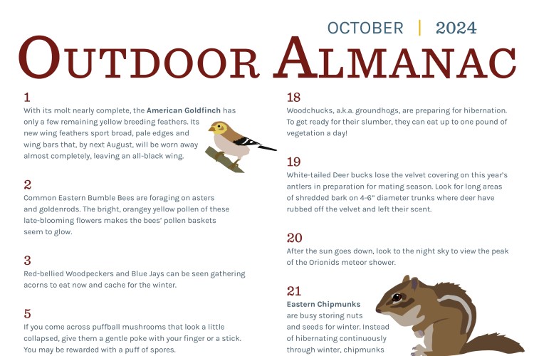 Outdoor Almanac