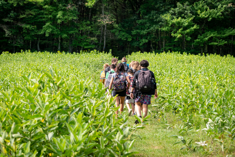 Wachusett Meadow Nature Camp Programs & Pricing
