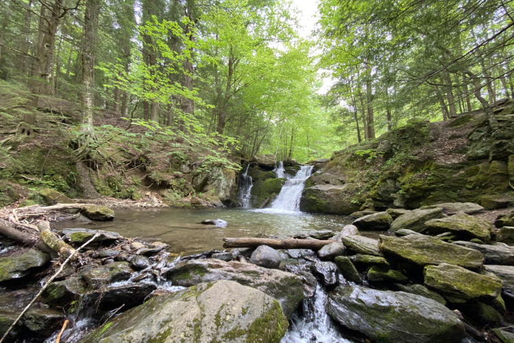 Mass Audubon Chosen as Education Provider for New Greylock Glen Outdoor ...