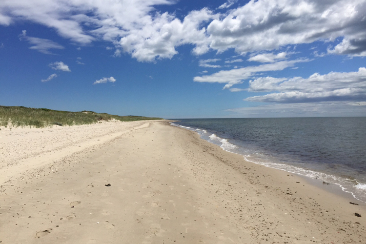 Sampsons Island Wildlife Sanctuary