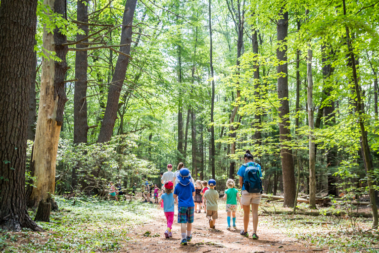 Mass Audubon Camp Registration Instructions