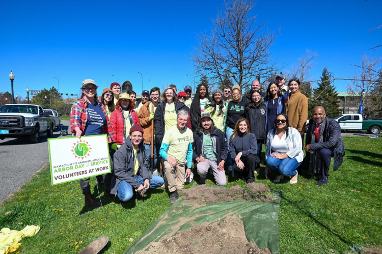 Q&A With Tree Eastie's Bill Masterson, Boston Tree Alliance partner