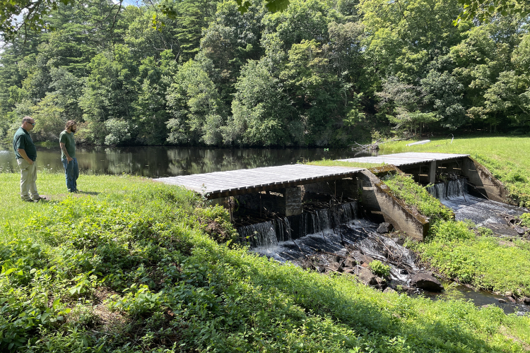 Ecological Restoration of Rivers via Dam Removals