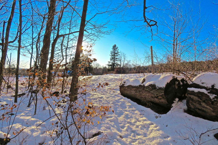 Winter Wonderlands in Central Massachusetts