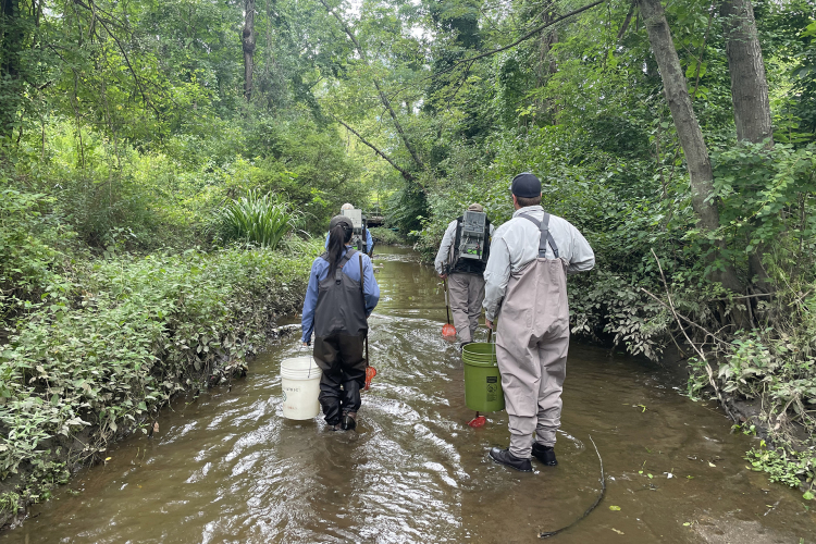 Broad Meadow Brook Stream Restoration Project