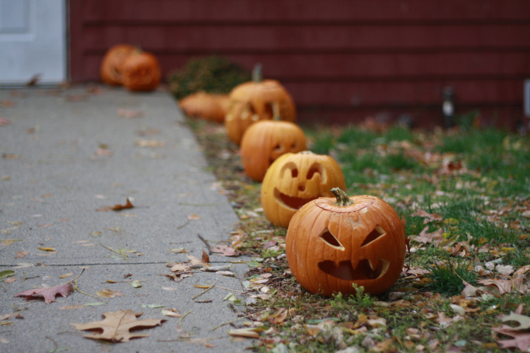 Fall Festivals & More