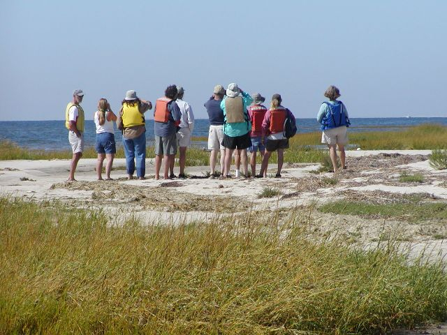 Cape Cod Field Schools