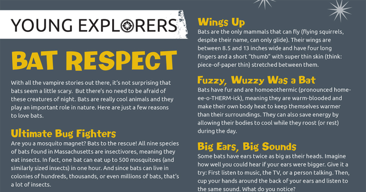 Bat Respect Activity Page