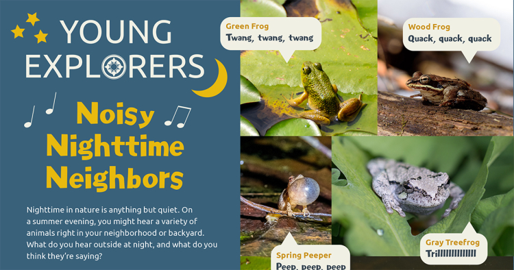 Noisy Nighttime Neighbors