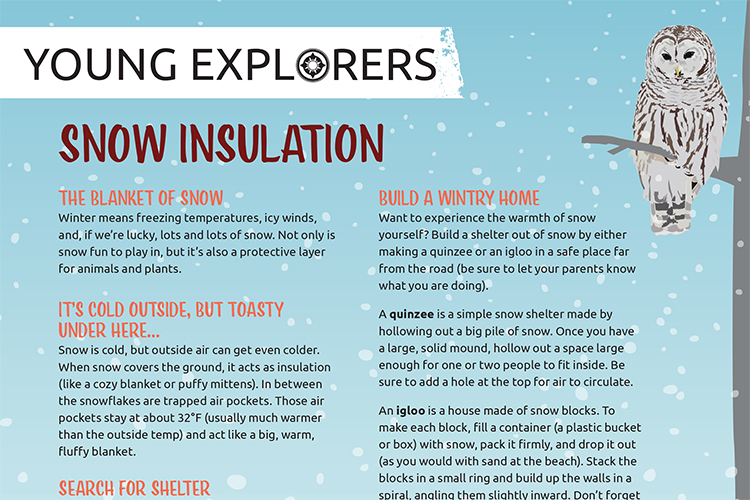 Snow Insulation Activity Page