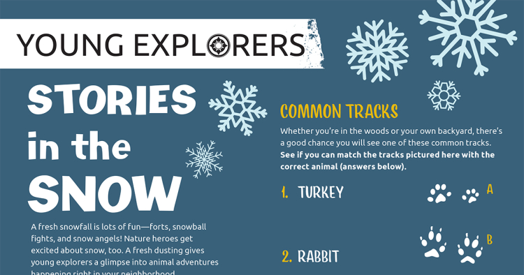 Stories in the Snow Activity Page