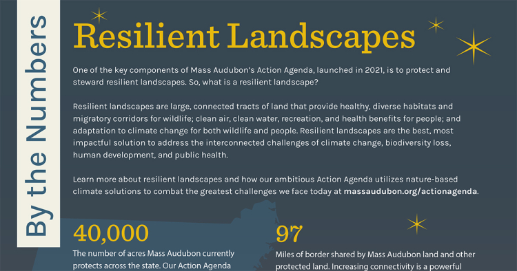 Resilient Landscapes